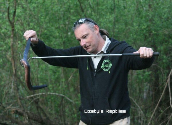Contact Us – Southern Highlands Snake Catchers